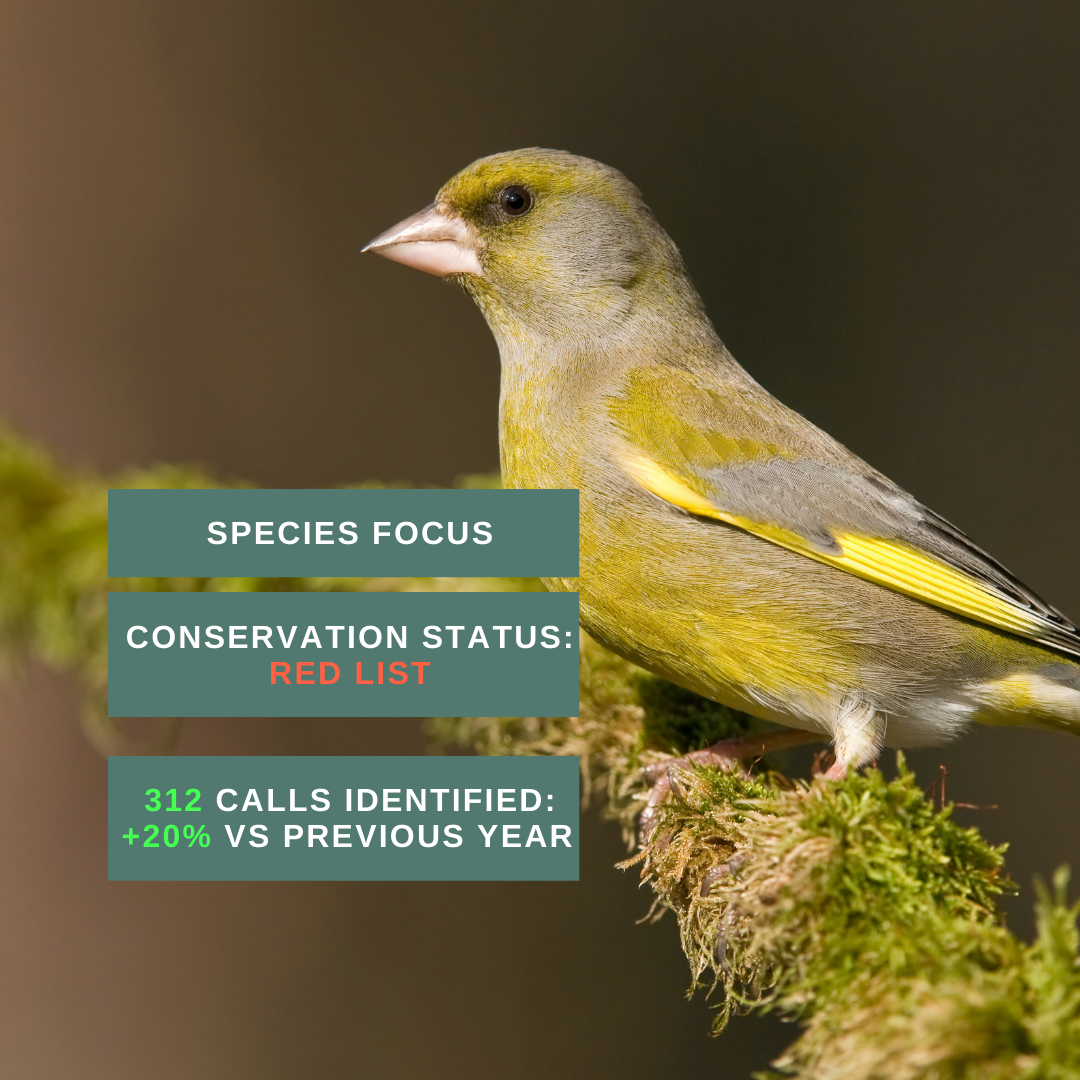 Species Reintroduction Monitoring: Bioacoustic Technology