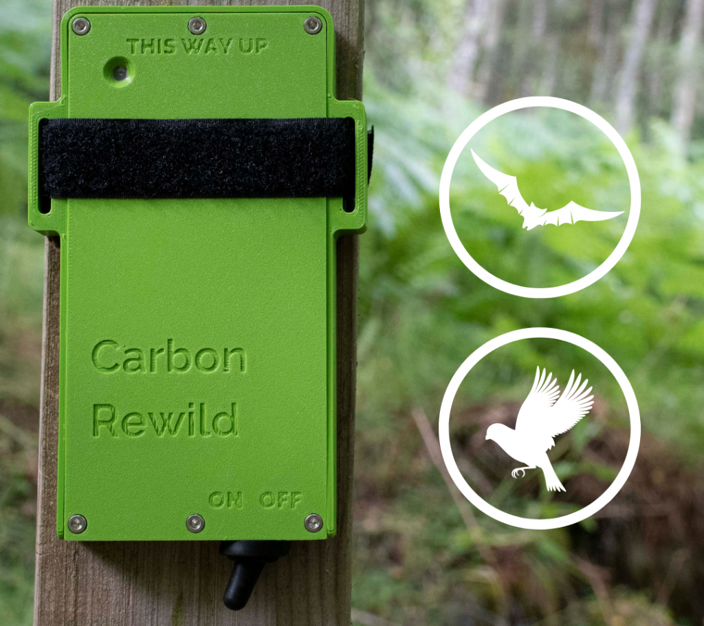 Bioacoustic Monitoring Bioacoustic Services | Carbon Rewild