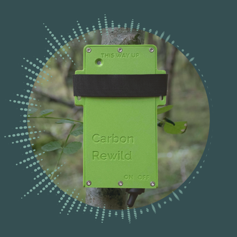 Bioacoustic Monitoring Bioacoustic Monitoring | Carbon Rewild