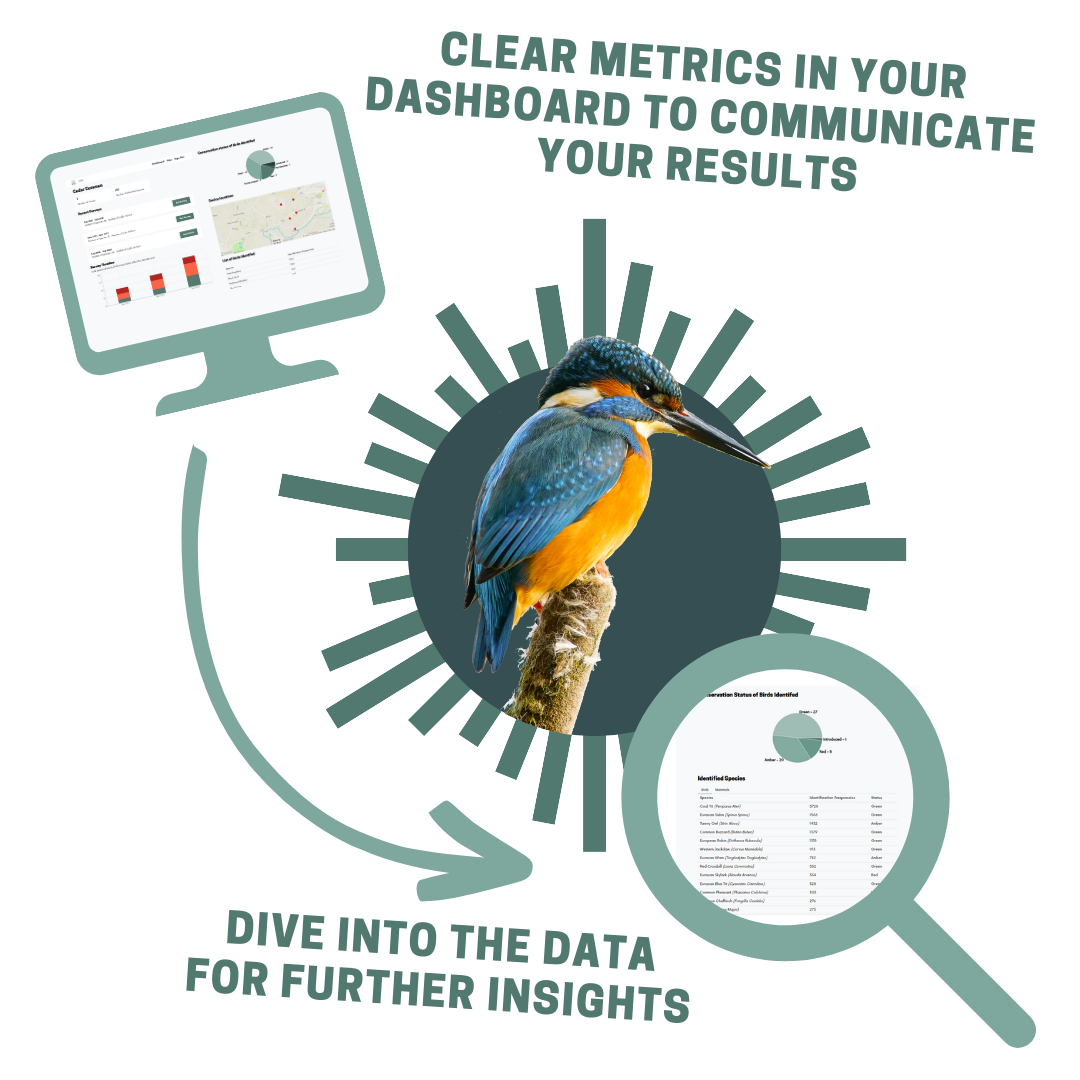 Monitoring Rewilding Projects with Bioacoustic Technology