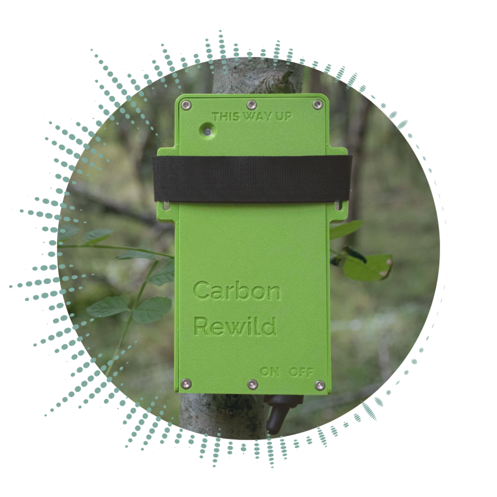 Monitoring Rewilding Projects with Bioacoustic Technology