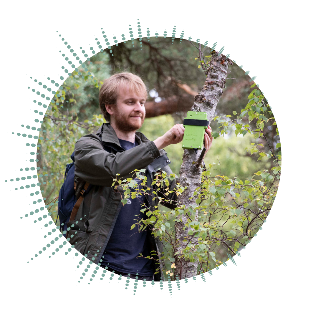 Woodland Bioacoustic Monitoring Guide | Carbon Rewild