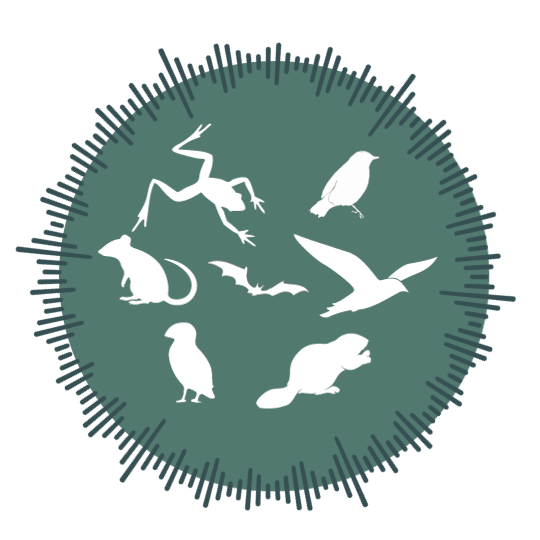 Small Mammal Bioacoustic Monitoring | Carbon Rewild