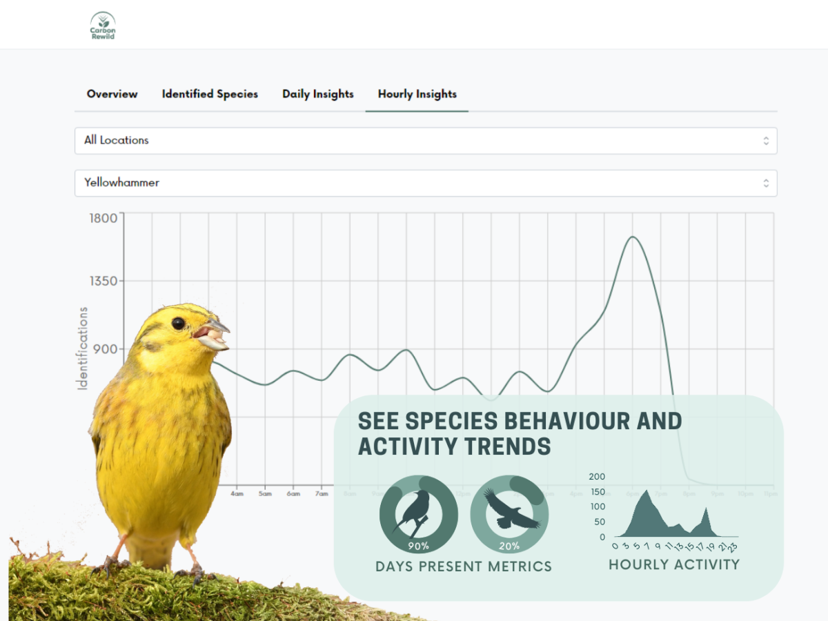 Nature Metrics and Reporting | Carbon Rewild