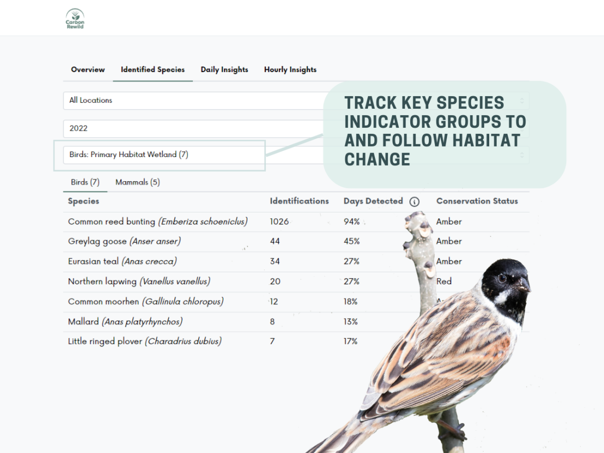 Nature Metrics and Reporting | Carbon Rewild