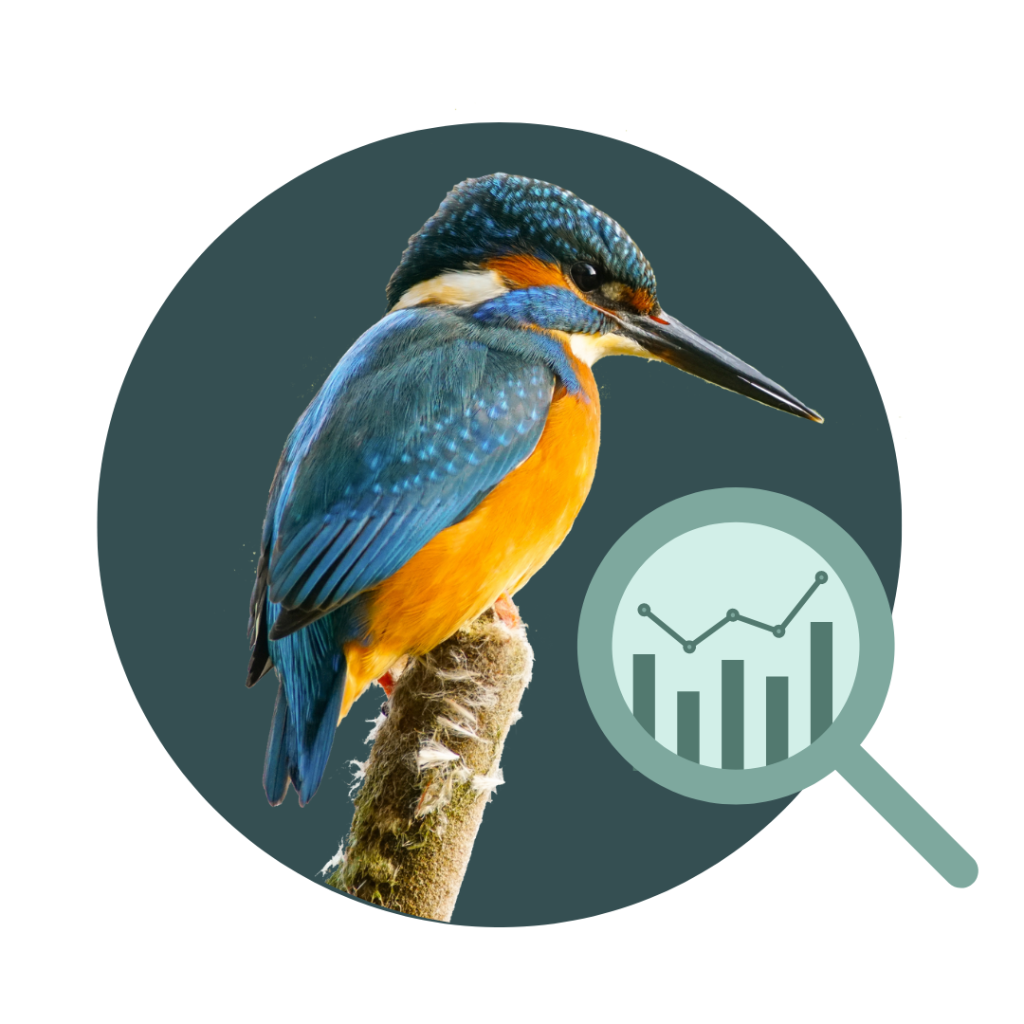 Nature Metrics and Reporting | Carbon Rewild