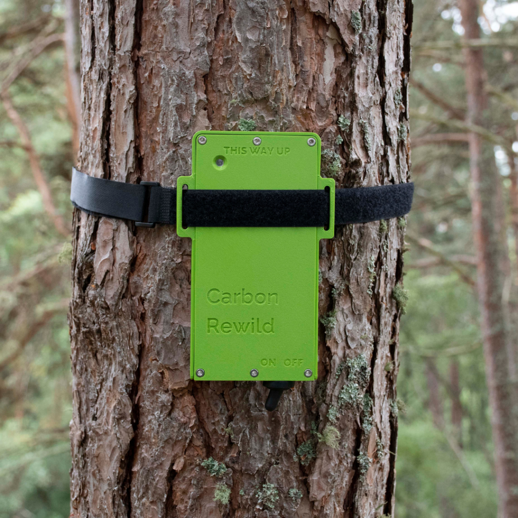 Customer Success Stories | Carbon Rewild