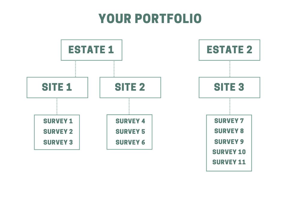 portfolio structure | Carbon Rewild